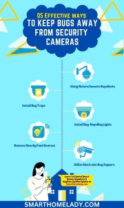 How To Keep Bugs Away From Security Cameras - 12 Best Ways